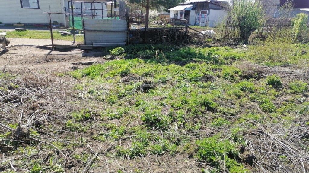 Купить участок, 6 сот. по адресу Тюмень, СО Яровское, Сливовая улица ...