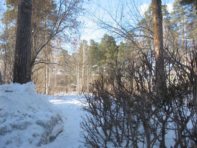 улица 40 лет Октября, 11 Снежинск на карте – информация о доме, отзывы ...