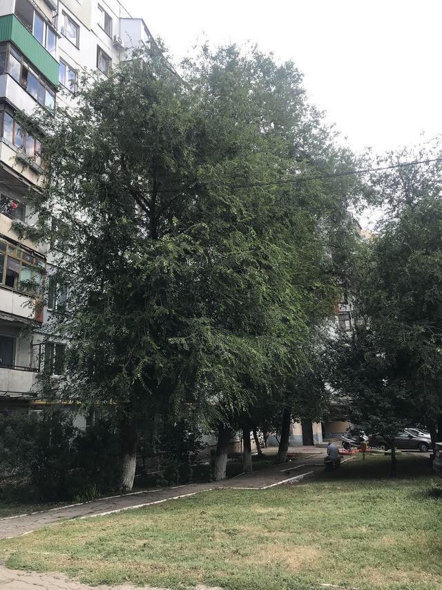 Купить квартиру Георгия Димитрова улица, 18 Самара - 2 объявления о ...